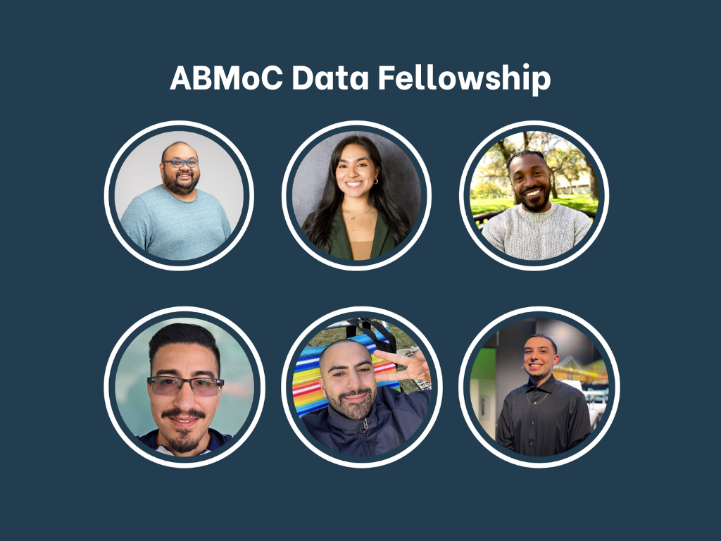 2024 Data Fellowship – Alliance for Boys and Men of Color